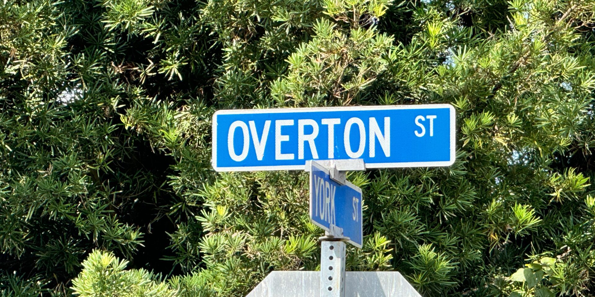 Alexandria Police Investigate Homicide on Overton Street - 3iA