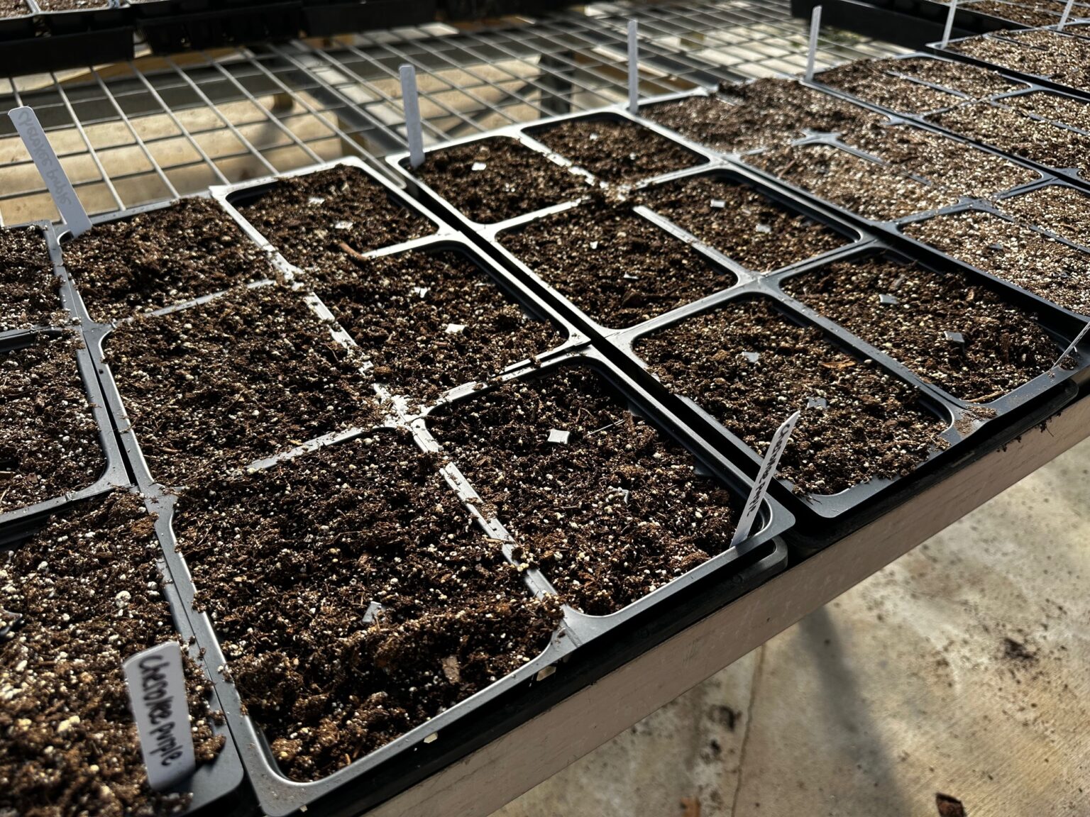 Free Louisiana Vegetable Planting Guide Available from LSU AgCenter - 3iA